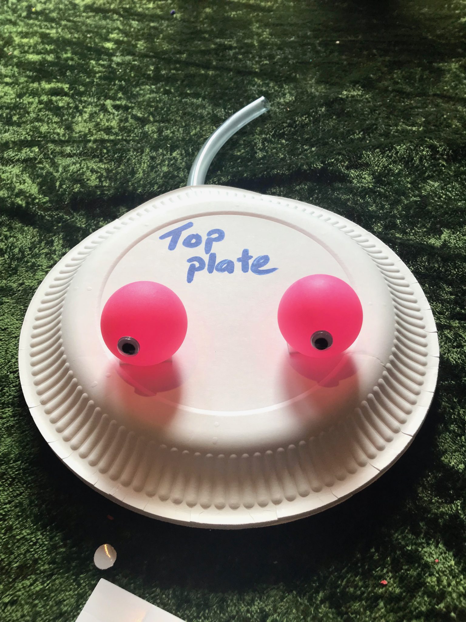 ACTIVITY 6: PNEUMATIC MINI-BEAST KIT - A Science iT! Activity ...