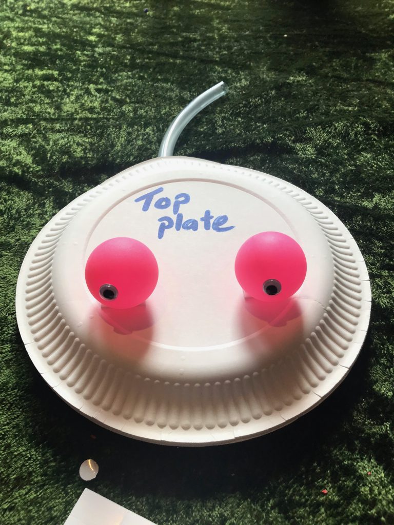 ACTIVITY 6: PNEUMATIC MINI-BEAST KIT - A Science iT! Activity ...