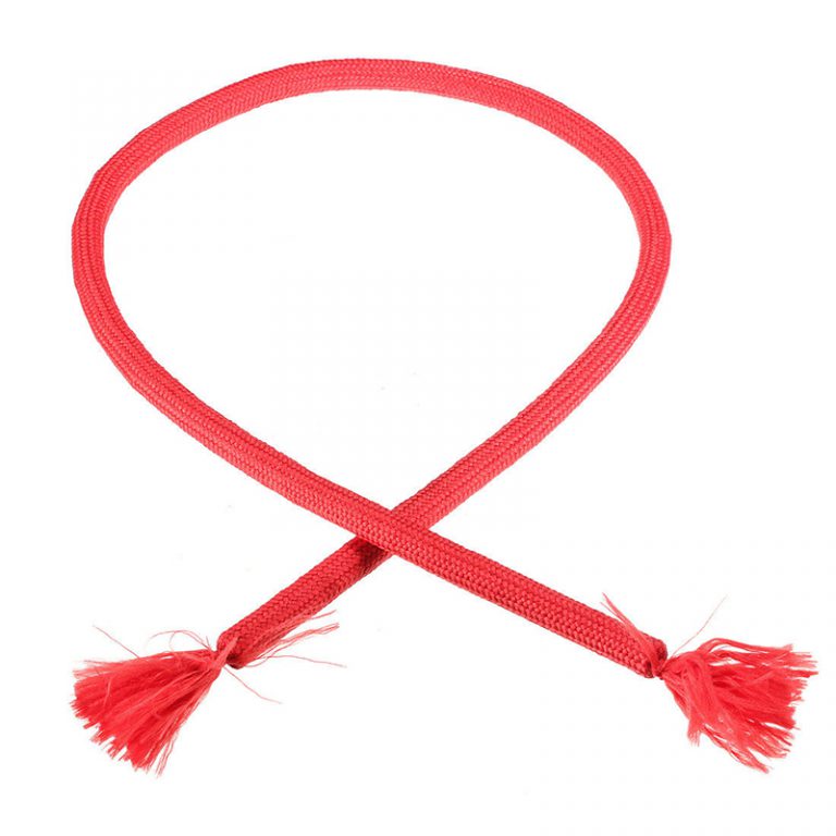 THE MAGIC ROPE TRICK - Science2Life