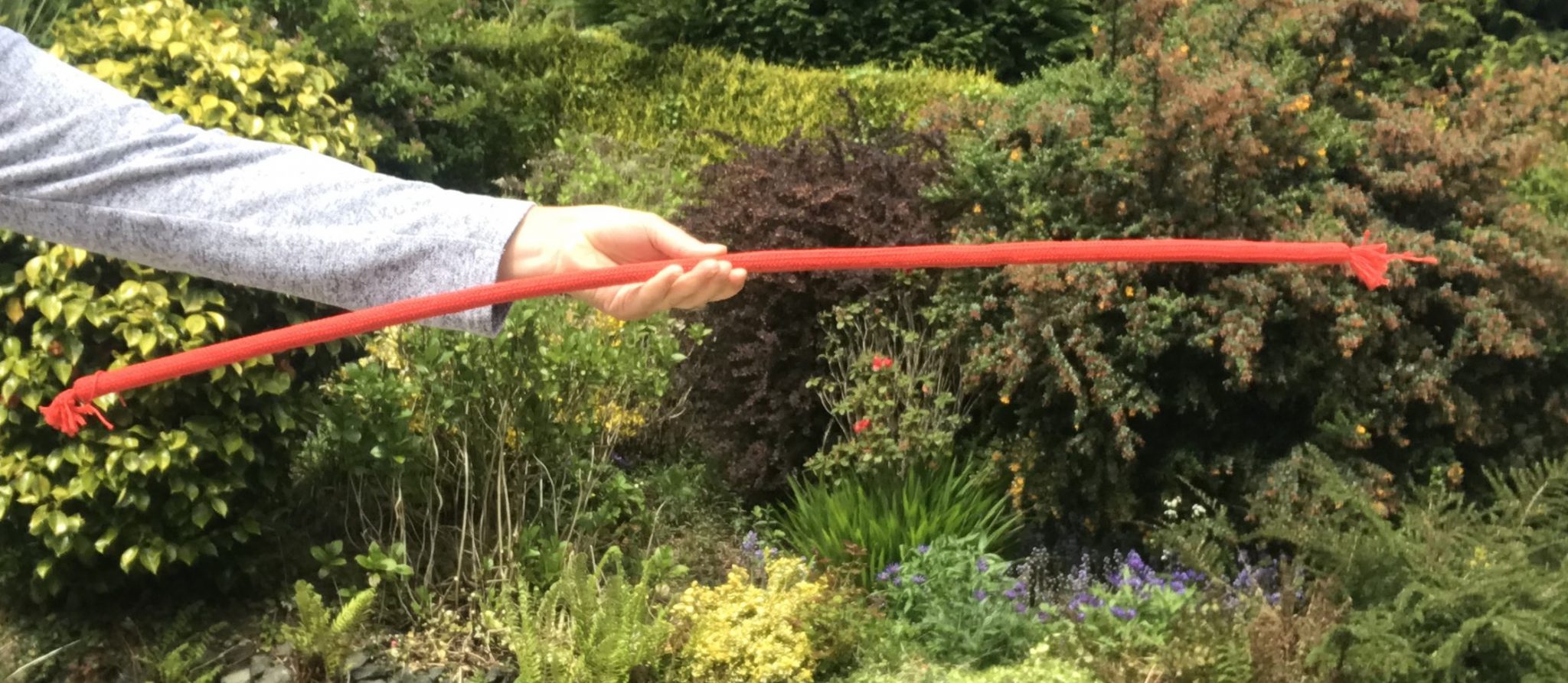 THE MAGIC ROPE TRICK - Science2Life