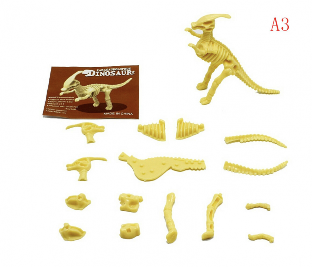 4 DINO DIG KIT - A Science iT! Activity - Science2Life