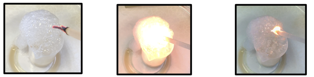 WOOD SPLINTS pack 100 - Science2Life